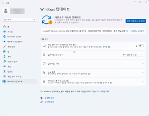 Windows 11 & 10 최신 업데이트 문제 및 해결 방법 (2025년 1월) - HowToDoIT